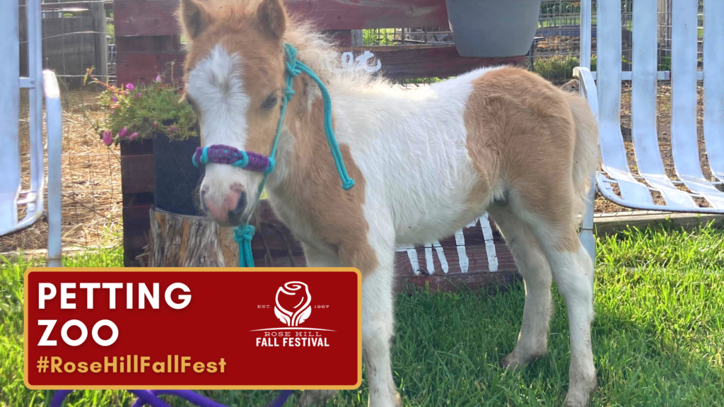 Morning Grit Farm Petting Zoo - Rose Hill Fall Festival