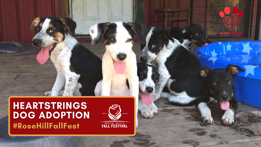 Heartstrings Dog Adoption - Rose Hill Fall Festival